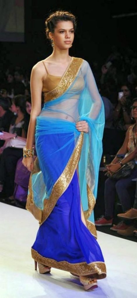 20 Awesome Images Of Actresses - In Transparent Sarees.